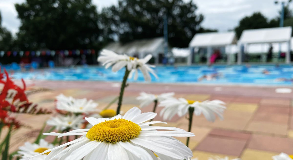 Hampton Pool Trust | Hello!